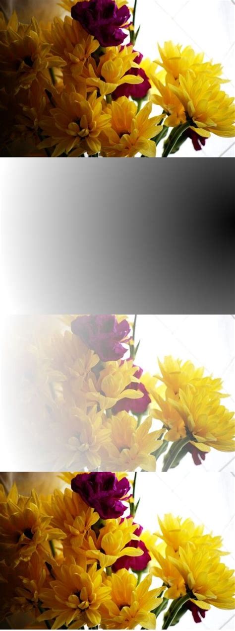 discover 56 gimp tips and tutorials ideas on this pinterest board