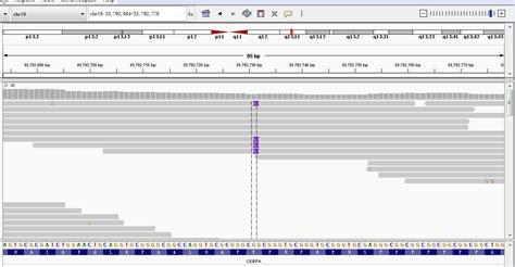 Rpl Filter · Issue 513 · Freebayesfreebayes · Github