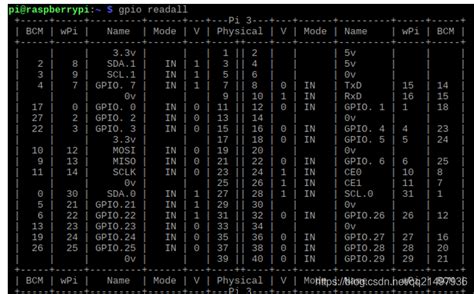 树莓派开发笔记五：gpio引脚介绍和gpio的输入输出使用（驱动led灯、检测按键）树莓派引脚输出ntsc Csdn博客