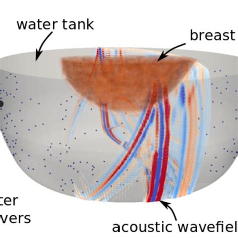 1 Simulation Of Ultrasonic Wave Propagation Afanasiev Et Al 2019 Download Scientific