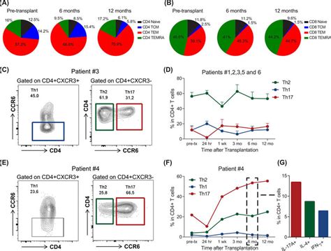 Analysis Of Cd4 And Cd8 T Cell Phenotypes From Face Recipients Over Download Scientific