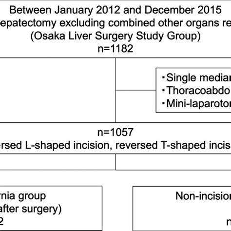 Study Design And Flow Chart Open Hepatectomy Without Combined