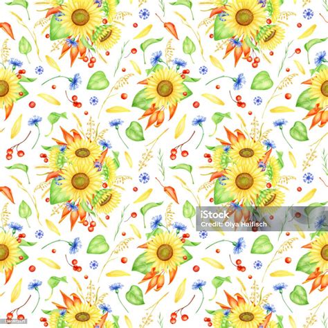 해바라기 꽃다발 매끄러운 패턴 손으로 그린 수채화는 노란색과 파란색 꽃 밀 스파이크 붉은 열매를 떨어집니다 0명에 대한 스톡 벡터 아트 및 기타 이미지 Istock