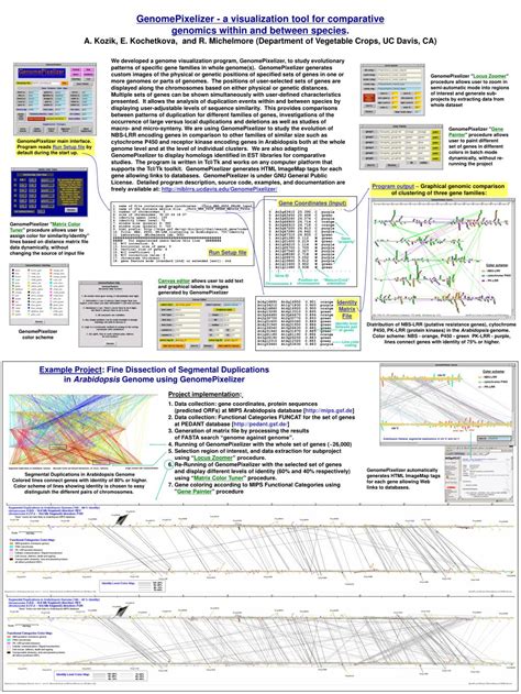 Ppt Genomepixelizer A Visualization Tool For Comparative Powerpoint Presentation Id280505