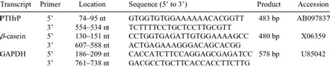 Primers For RT PCR And Competitive RT PCR Download Scientific Diagram