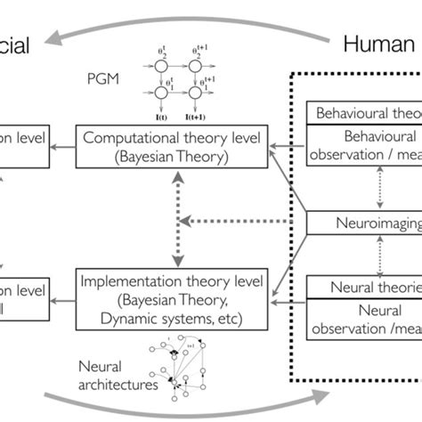 Modelling Affective Facial Expression A The Pgm Models The Dependency Download Scientific