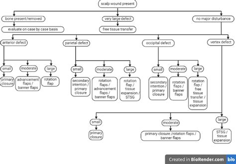 An Algorithmic Approach To Evaluate Scalp Defects Based On Size And Download Scientific Diagram