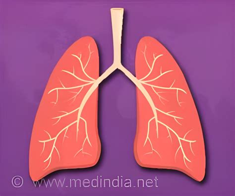 Nasal Proteins Provide Vital Clues For Early Copd Diagnosis