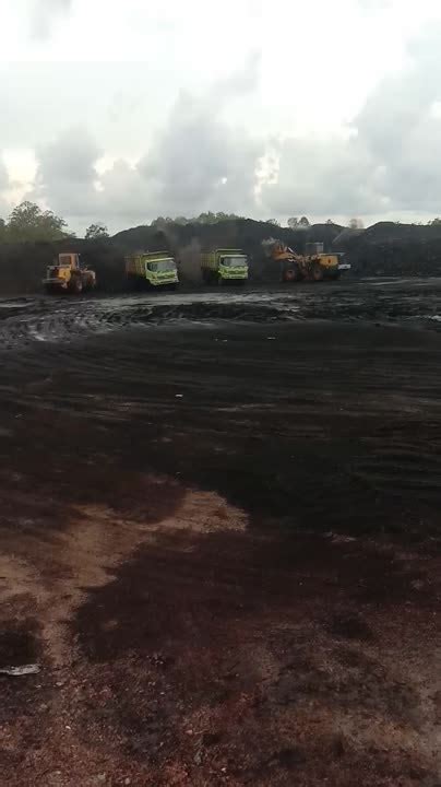 Video Arif Abdul Wahid On Linkedin Ready Stock Cargo Gar 42 Satui