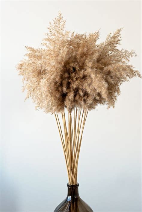 Boho Pampas Grass Vase Clip Art My Xxx Hot Girl