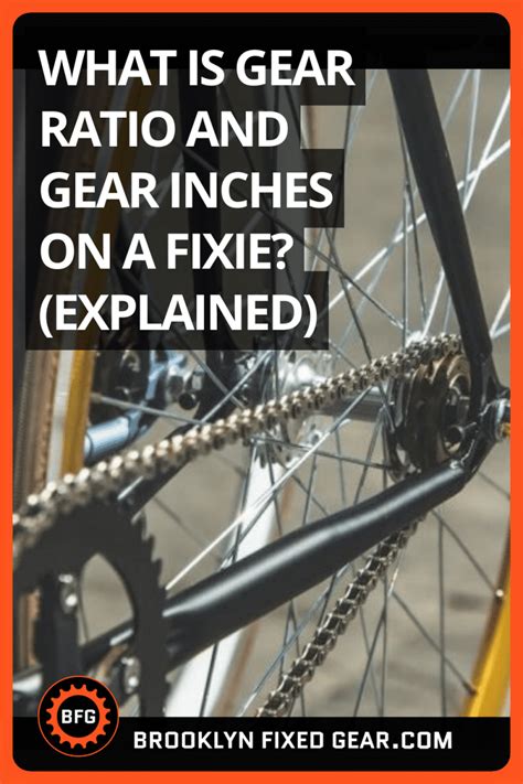Single Speed Vs Fixed Gear Bike Differences Explained Atelier Yuwa