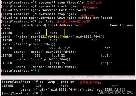 linux rpm与yum包管理 csdn博客