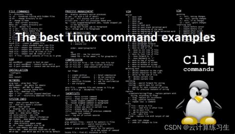 linux基础命令篇：路径切换、文件和目录创建（pwd、cd、mkdir） 打开终端切换到用户显示当前目录 并在当前目录下建立一个新目录包含的