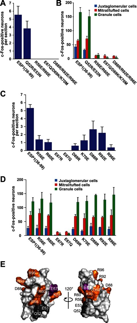 Structure Of The Mouse Sex Peptide Pheromone Esp1 Reveals A Molecular Basis For Specific Binding