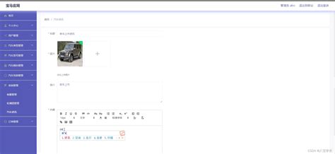 Java毕设项目宝马官网（javavuemybatismavenmysql）java官网项目 Csdn博客