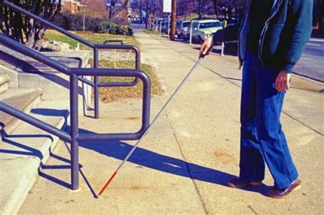 Stir Of Echoes Learning Echolocation Brain World