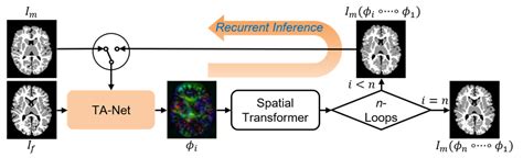 Recurrent Tissue Aware Network For Deformable Registration Of Infant Brain Mr Images Qian Wang