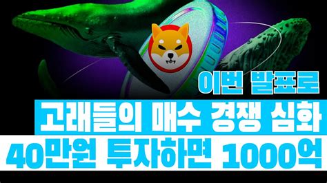 시바이누 주말간 다시 불거진 Etf 호재대형 고래들이 움직인다 이번에는 진짜다 비트코인 이더리움 리플 도지코인 시바이누코인 시바이누호재 시바이누분석