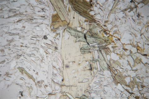 Biotite Thin Section Phyllosilicates Microckscopic
