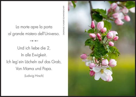 Antonio Endrizzi Tonino Meran Bestattungsdienst Schwienbacher A Meran Lana Tscherms