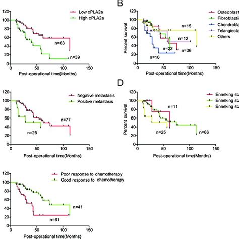 The Survival Curves Of Different Subgroups With Os The Overall