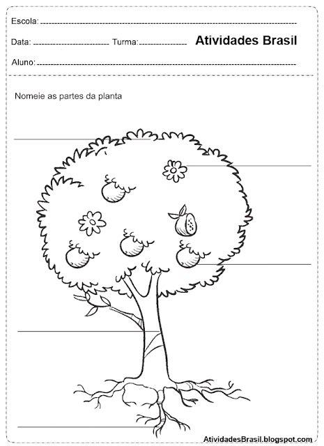 Atividades Brasil Atividades Dia Da árvore Para O 3° Ano