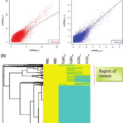 Scatter Plot And Heat Map Of Rna Seq Expression Analysis Scatter Plots