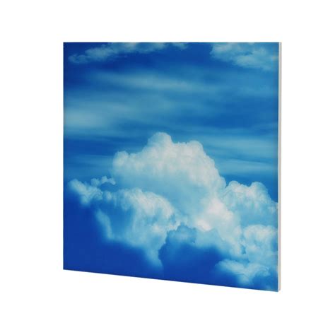 Constant Voltage Led Panel Light 60 60 Blue Sky Ceiling Panel From China Manufacturer Lumin