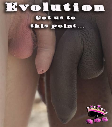 Its Basic Evolution One Has Just Evolved Superior To The Other