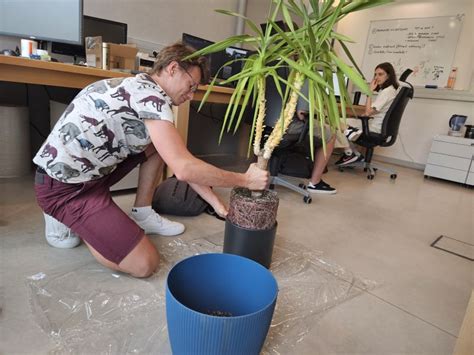 Embetech On Linkedin Innovation Sustainability Iot Greenoffice