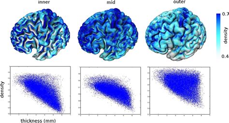 Top Gray Matter Density Projected Onto Inner Middle And Outer Download Scientific Diagram