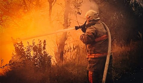 Вогнеборці локалізували масштабну пожежу у Чорнобильській зоні деталі НашКиїв Ua