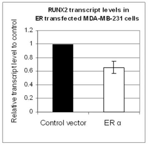 Positive Association Between Nuclear Runx2 And Oestrogen Progesterone Receptor Gene Expression