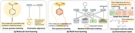 논문 리뷰 Advancing Molecular Graph Text Pre Training Via Fine Grained