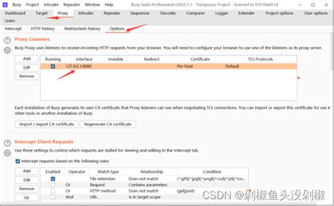 burpsuite安装与使用教程 含jdk配置环境 burpsuite安装详细教程 csdn博客