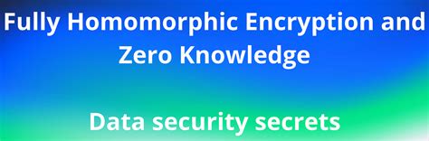 fully homomorphic encryption and zero knowledge data security secrets
