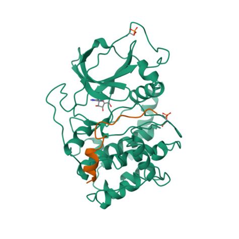Rcsb Pdb 1fmo Crystal Structure Of A Polyhistidine Tagged