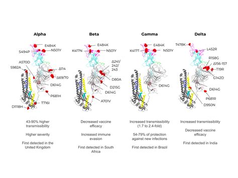 Mapping Mutations Of Sars Cov 2 Variants Of Concern Vocs And Download Scientific Diagram