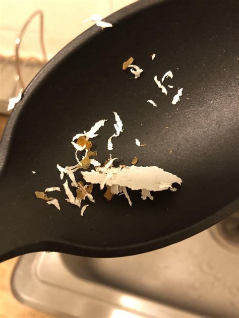 Found Jam Packets Shredded After Coming Home They Were Totally Ok Before I Left What Couldve