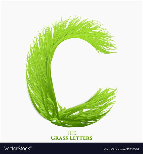 Letter C Of Juicy Grass Alphabet Green C Vector Image