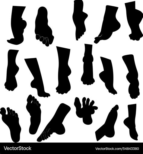 Silhouettes Of Feet Human Anatomy Royalty Free Vector Image