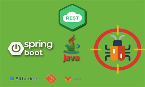 Do Spring Boot Bug Fixes And Expert Api Development By Sankaharshana