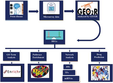 Overall Workflow Scheme Of This Study Mrna Expression Datasets Of Pd Download Scientific