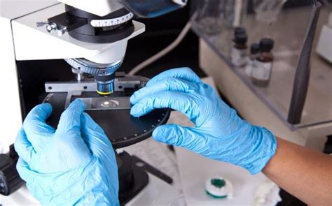 Identifying Asbestos In Artex Asbestos Testing Kit