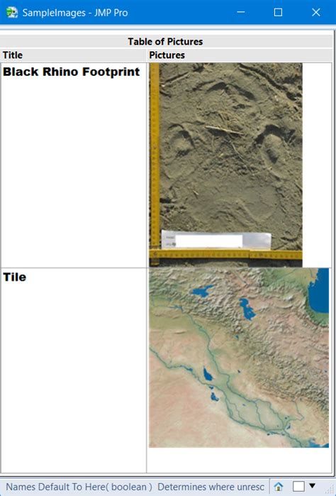 Solved Adding An Image From A Data Table To Output Jmp User Community