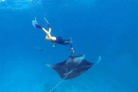 7 Lukisan Karya Basuki Abdullah Yang Terkenal