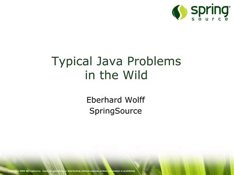 10 Typical Java Problems In The Wild Ppt