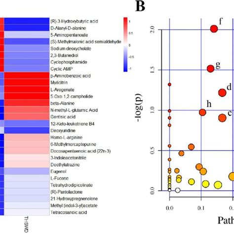 Heatmap Showing The Abundance Of Differential Metabolites A Results