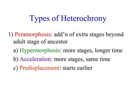 Lecture Morphological Changes In Macroevolution PPT