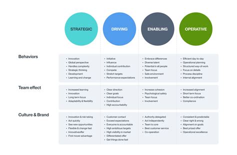 Performance Framework Assessio Platform